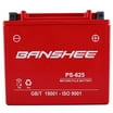 ODYSSEY Extreme Battery - ODS-AGM42LA - Walmart.com