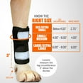 NeoAlly Dog Front Leg Braces, Metal Inserts, Supportive, Prevent ...