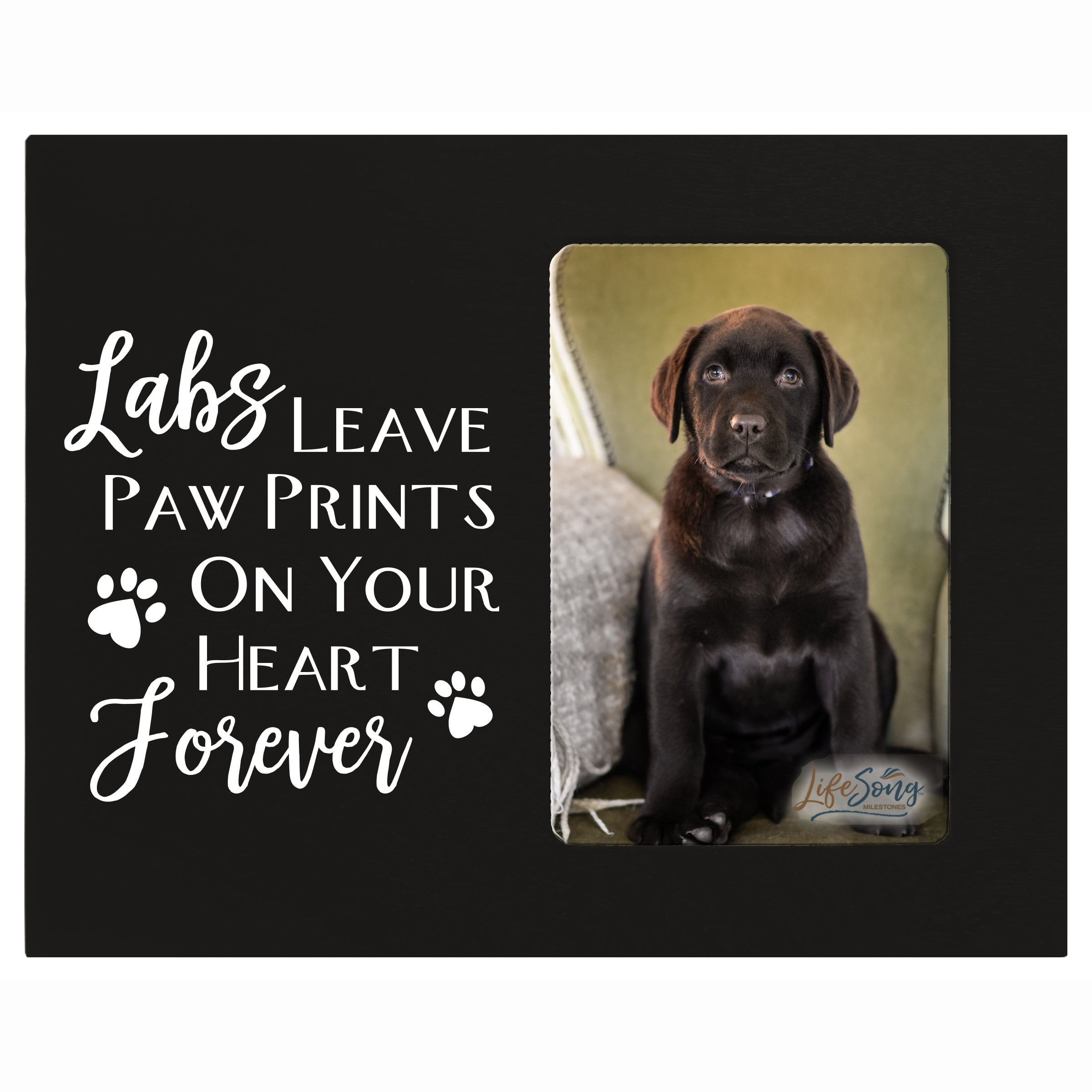 Printed Labrador Retriever Photo Frames - Labs Leave Paw Prints ...