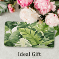 ADECORIVY Palm Leaves Front License Plate, Tropical Floral Novelty ...