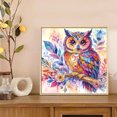 Fixed Eye Owl Diamond Art Painting Kit - Walmart.com
