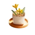 Crystal Tulip Flower Pot Glass Ornament, Shining Decorative Figurine ...