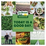 EARTHBOUND FARM Greenhouse Crisp Lettuce 4oz Fresh Green Leaf ...