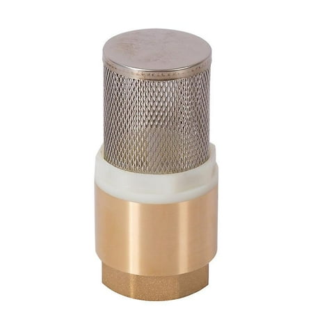 82 X 48Mm 1'' Check Strainer Valve - With Stainless Steel Strainer And ...