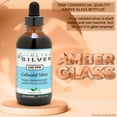 Ultra Silver® Colloidal Silver 500 PPM 4 Oz Nano Sized Mineral ...