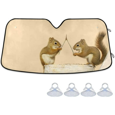 Funny Young Squirrels Car Windshield Sun Shade Wild Animals Wishes ...