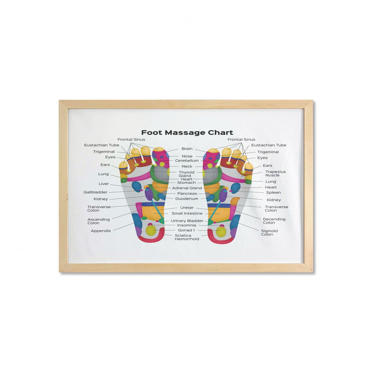 Human Anatomy Wall Art with Frame, Colored Chart of Foot Massage Body ...
