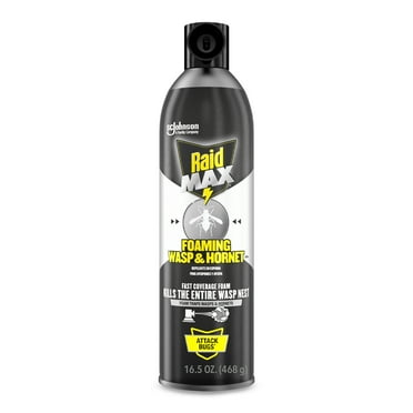 Raid Max Foaming Wasp & Hornet Killer, 13 oz - Long Distance Insect ...