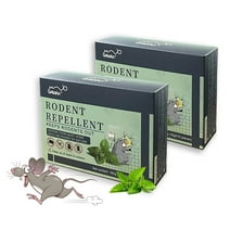 Rat Sorb Odor Eliminator, Smell Control for Dead Rodents - 1Oz ...