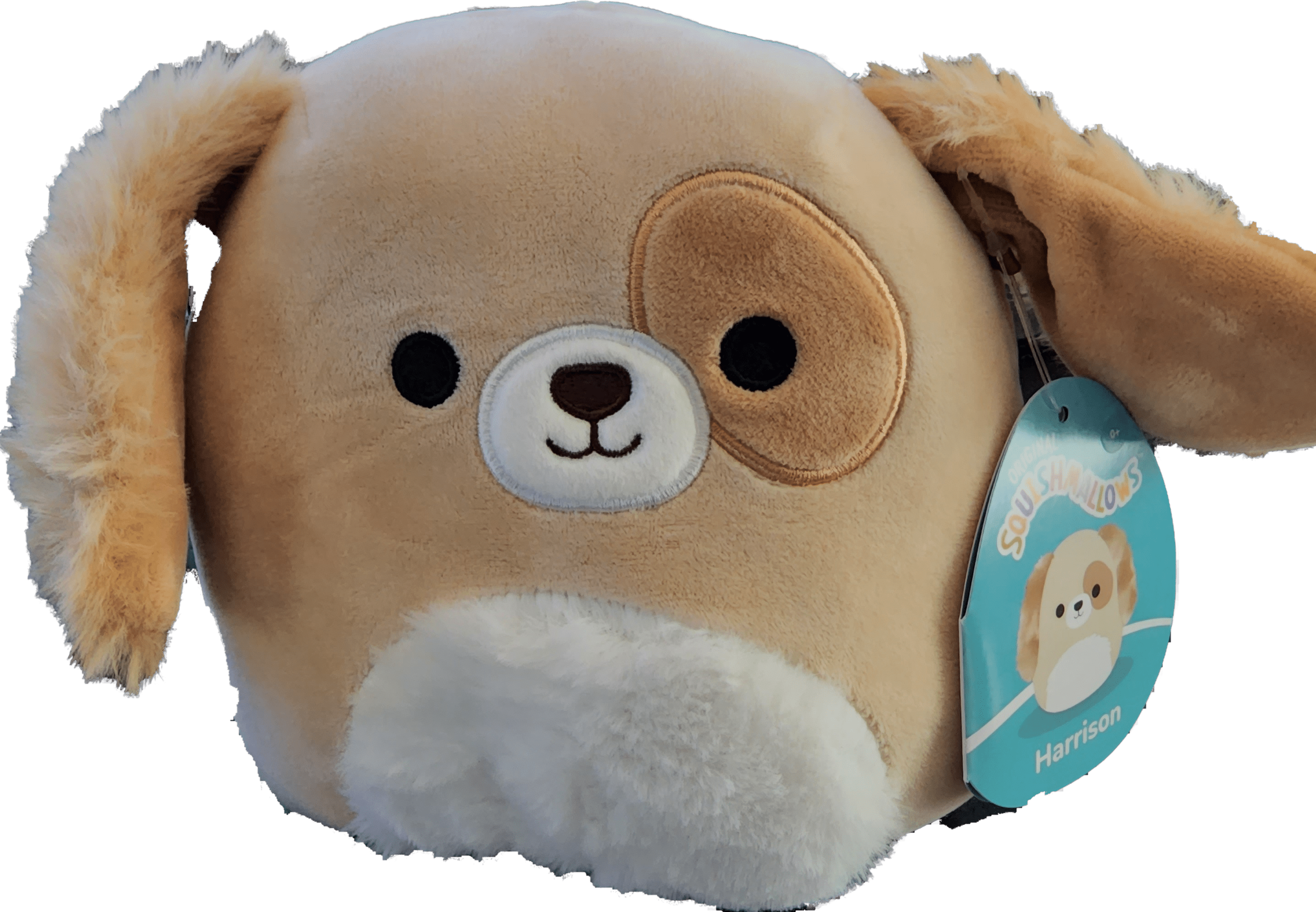 Squishmallows 6" In Plush Harrison The Dog - Walmart.com