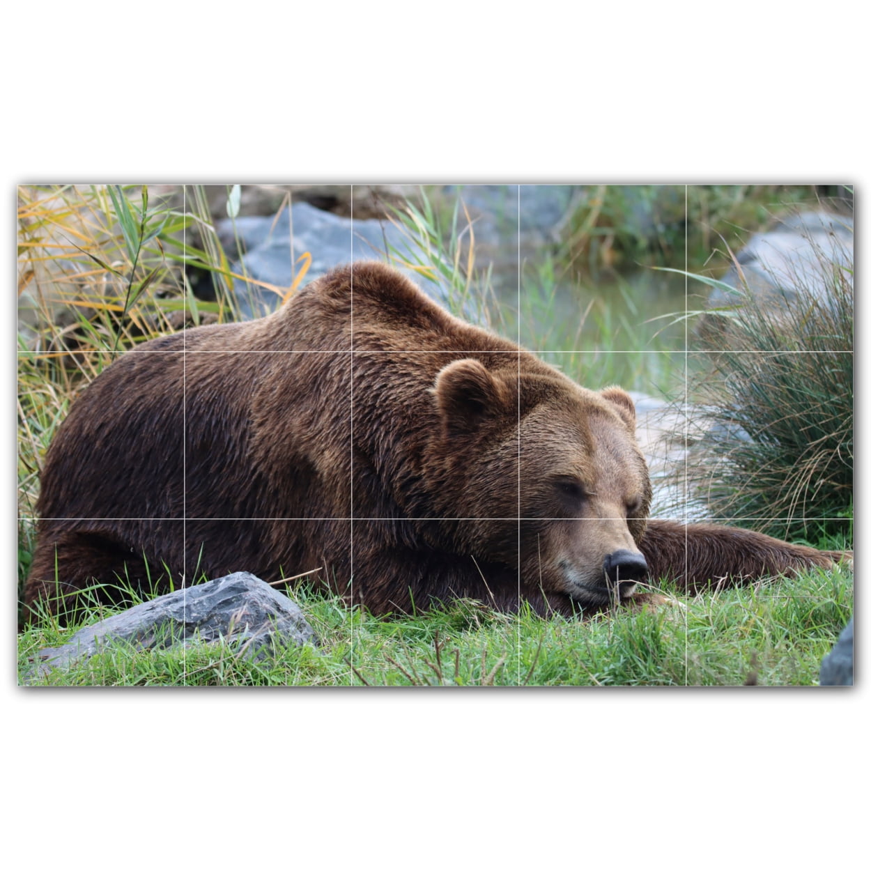 Picture-Tiles.com: Bear Ceramic Tile Wall Mural WAL500124-53XL. 60"W x ...