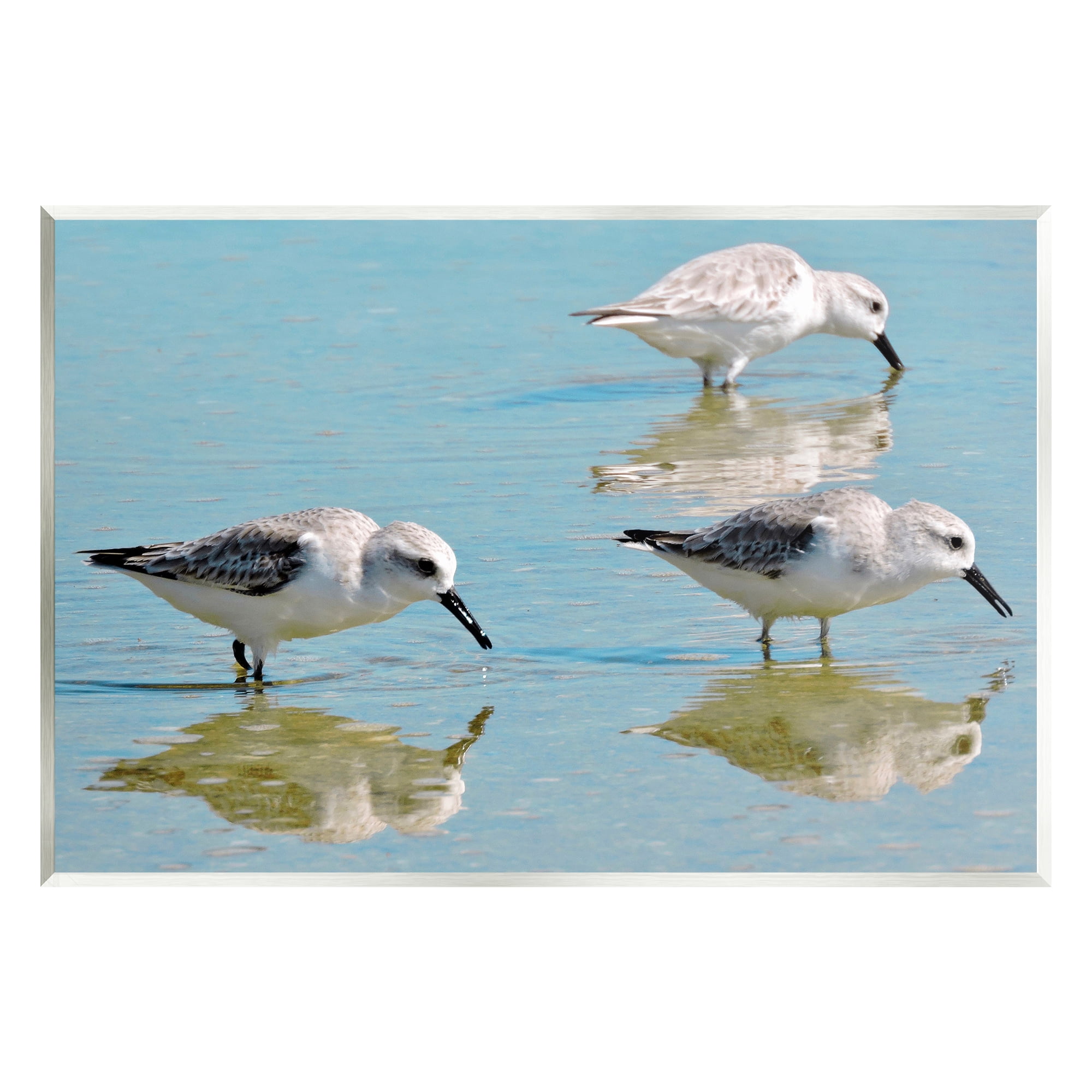 Stupell Industries Sandpipers Shallow Water Reflection Coastal ...