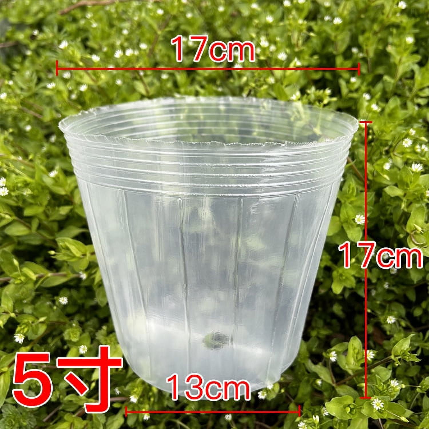 Zhuge Maceta de plástico transparente de 40 piezas, recipiente de ...