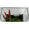 Penn-Plax Aquaterrium Tank - Hydroponic Glass Aquarium for Live Plants ...