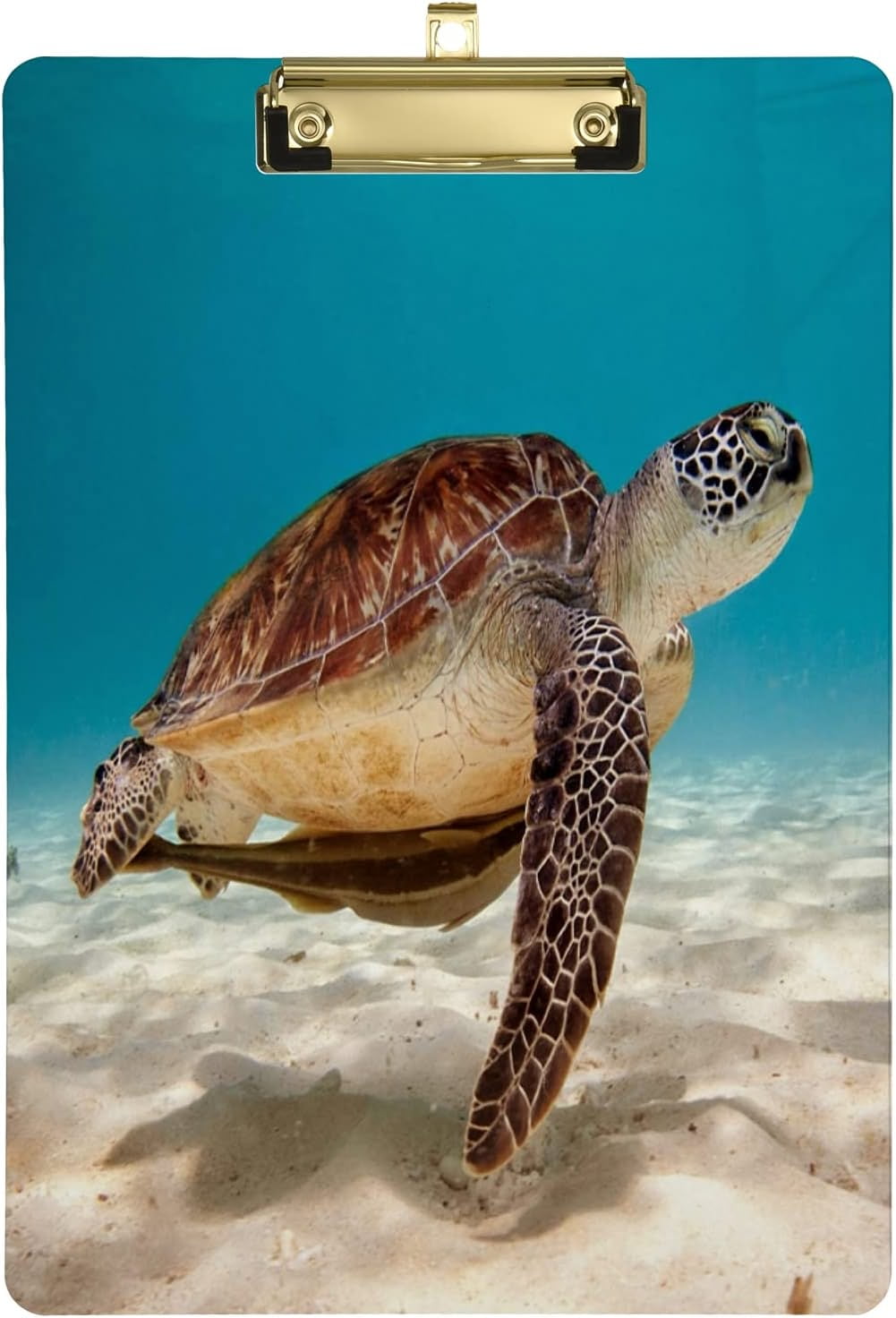 FMSHPON Sea Turtle Sand Clipboard Hardboard Wood Nursing Clip Board and ...