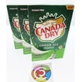 Canada Dry Powder Drink Mix, Original Ginger Ale - Walmart.com