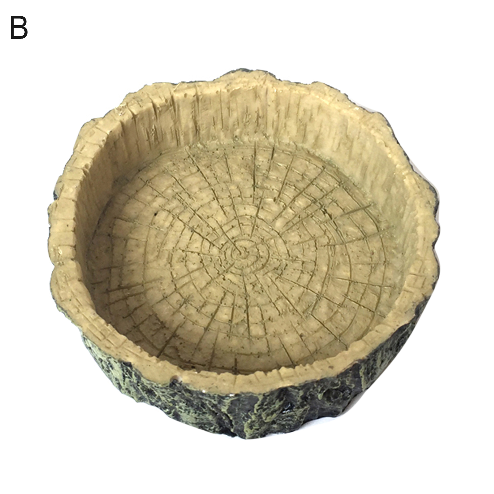 Reptile Feeder, Durable Resin Natural Food Bowl Food Holder for Turtle ...