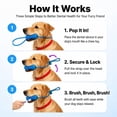 Dual Action Canine Dental Prop for Dogs, Dog Teeth Cleaning Chew Toy ...