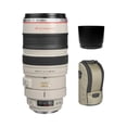 Canon EF 100-400mm f/4.5-5.6L IS USM Telephoto Zoom Lens with Advanced ...