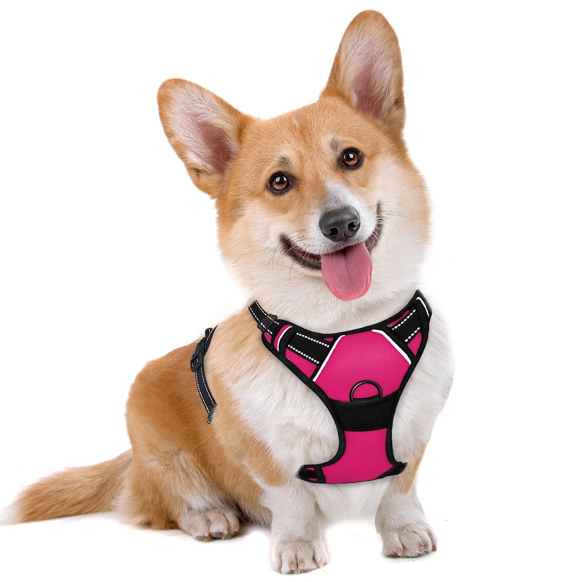 Easy Walk Harness Pink