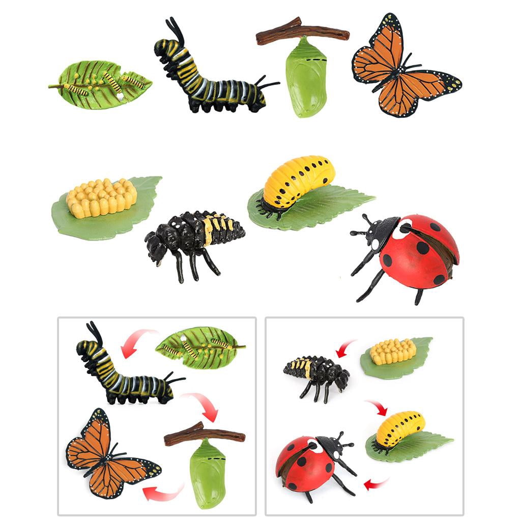 Simulación Naturaleza Mariposa Mariquita Mariquita Niño Juguetes ...