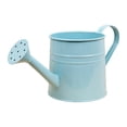 Lightweight Portable Mini Metal Watering Cans, Leak-Proof Small Plants ...