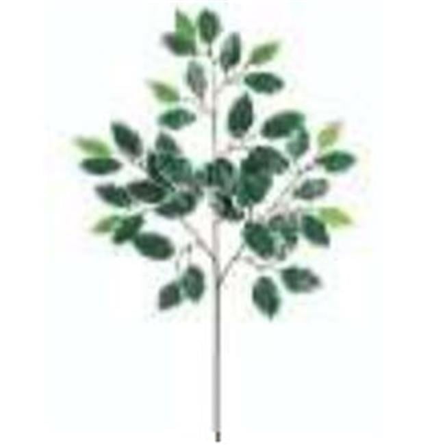23 Deluxe Vg Ficus Spray X3 W-42 - Pack of 40 dozen - Walmart.com