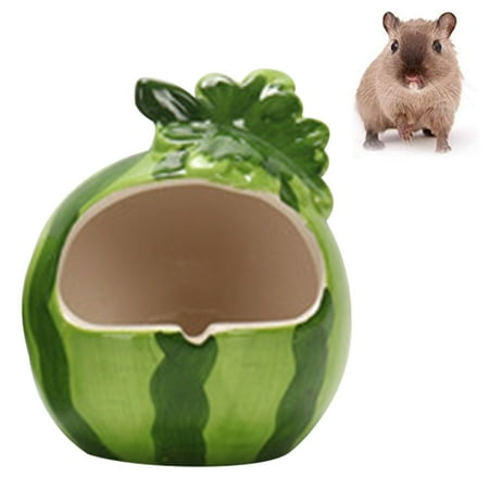 Ceramic small animal hideout for pets, dwarf hamster hideout Amiable ...