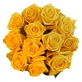 Fresh-Cut Solid Roses Flower Bunch, Minimum of 12 Stems, Colors Vary ...