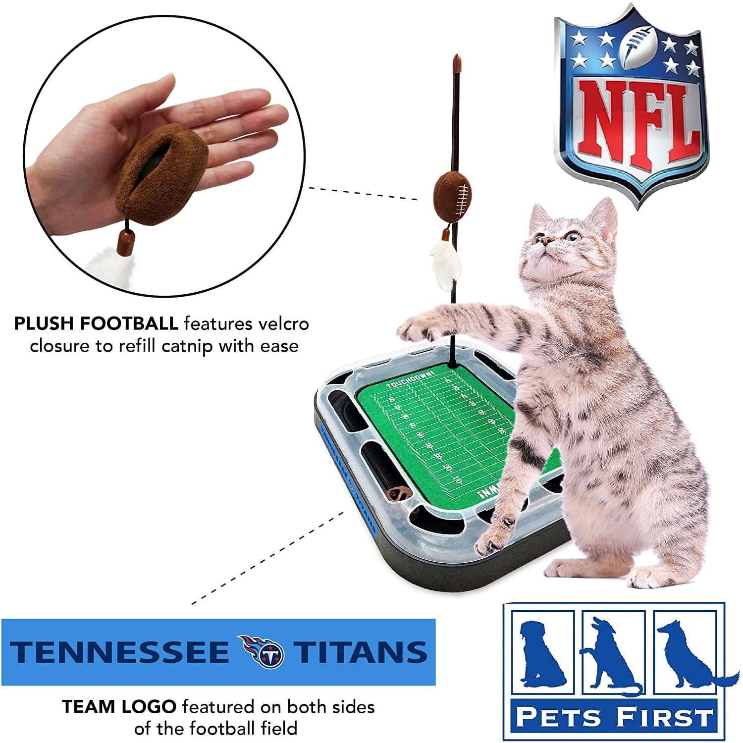 Playying Football Cats