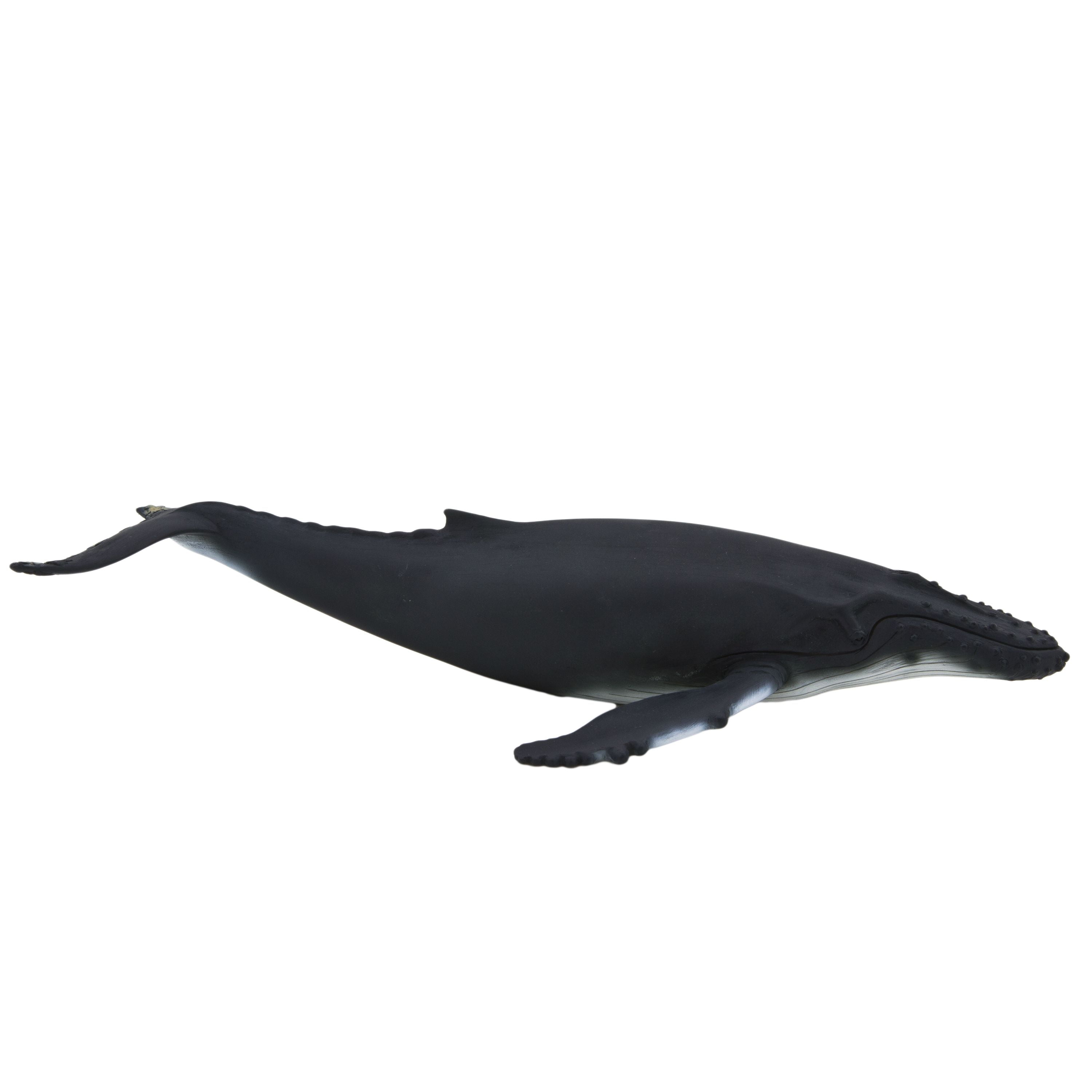 MOJO - Realistic International Wildlife Figurine, Humpback Whale ...