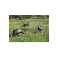 Flextone Thunder Chick Upright Decoy - Walmart.com