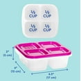 EasyLunchboxes - BPA Free Plastic Bento Boxes for Adults - 4 ...