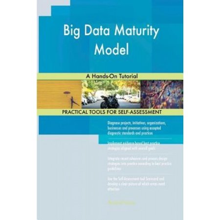 Big Data Maturity Model: A Hands-On Tutorial | Walmart Canada