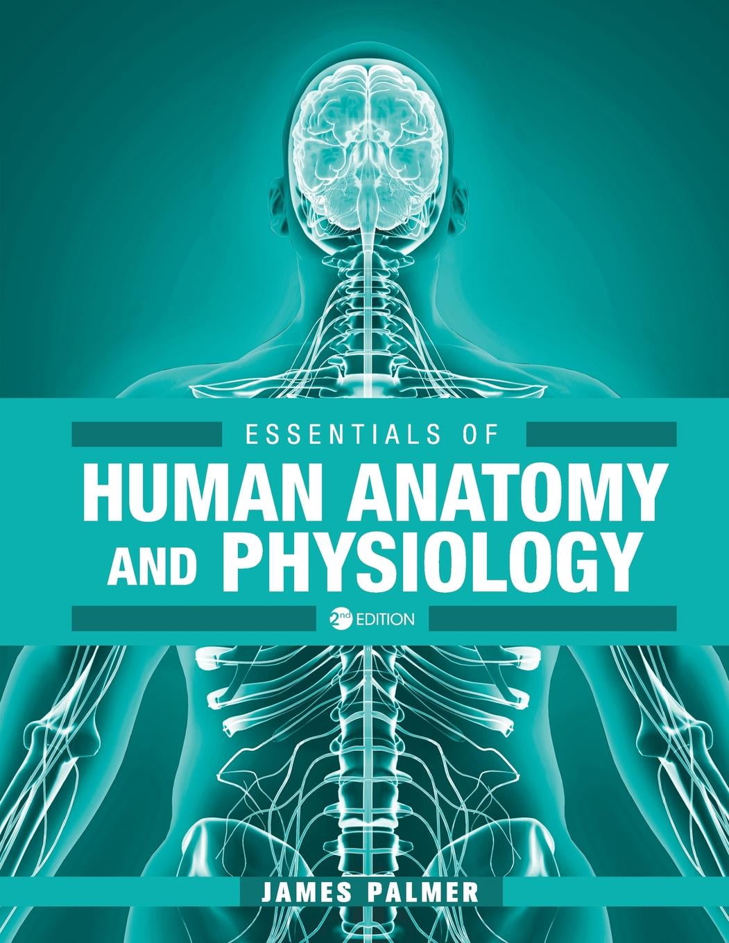 Essentials Of Human Anatomy And Physiology Paperback Walmart Essentials Of Human Anatomy And Physiology Paperback Walmart