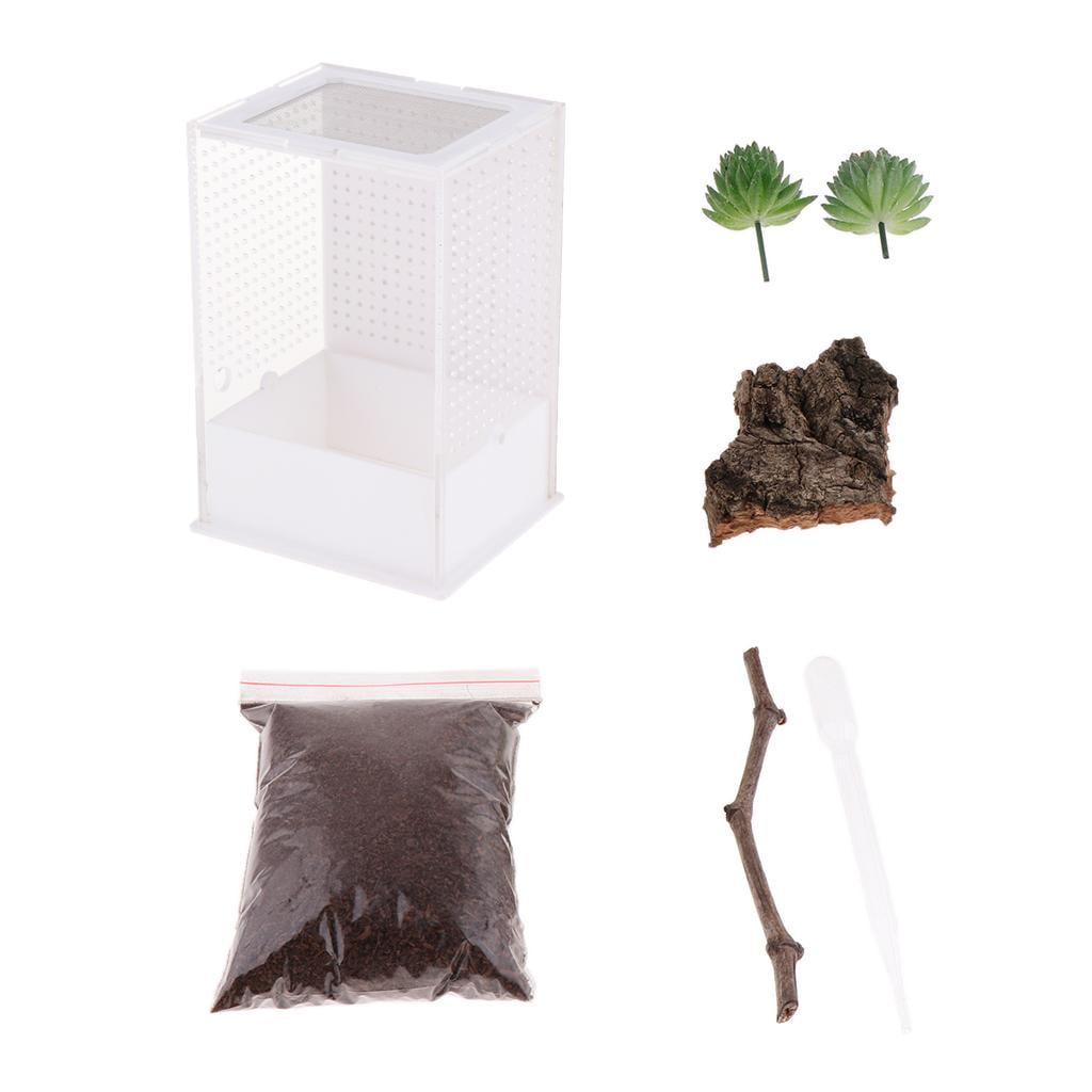 Ventilated Design - Feeding Box Breeding Case Terrarium Hatching ...