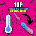 1UP Freeze Dried Sour Worms, 2.0 oz Resealable Bag (Pack of 2 ...