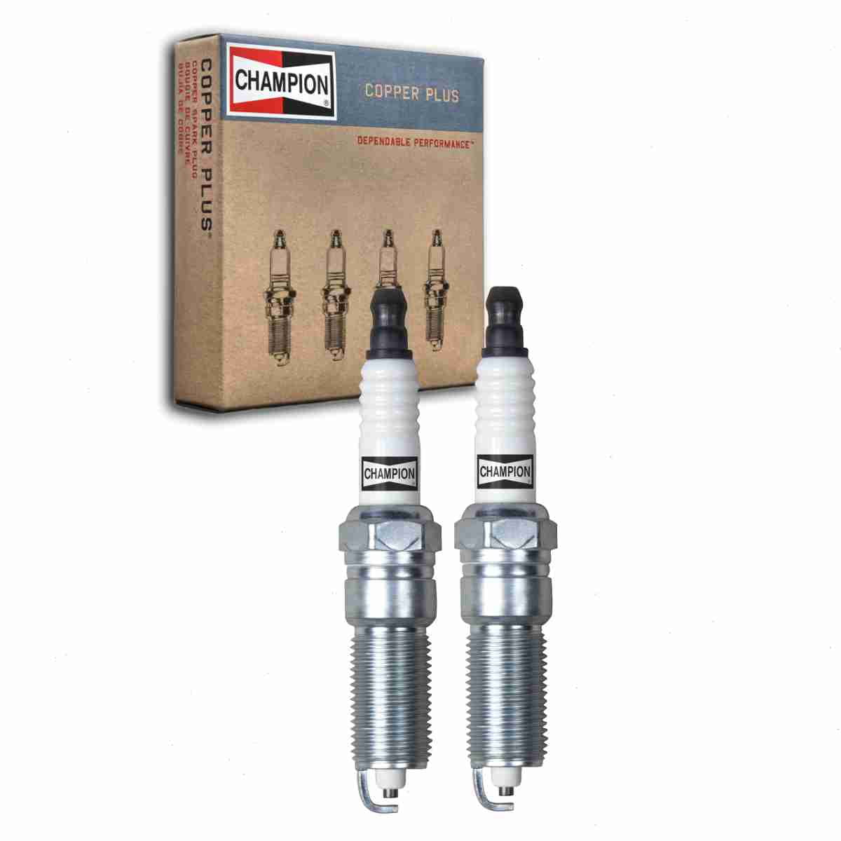 Champion Parts | ppgbbe.intranet.biologia.ufrj.br