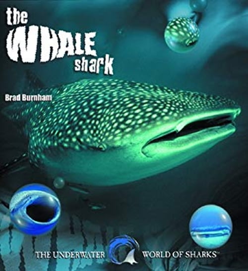Pre-Owned The Whale Shark (Library Binding) 9780823955879 - Walmart.com