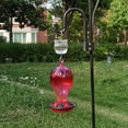 HOLAHOMA Glass Ant Moat, Transparent 3 oz Tulip Design, Durable ...