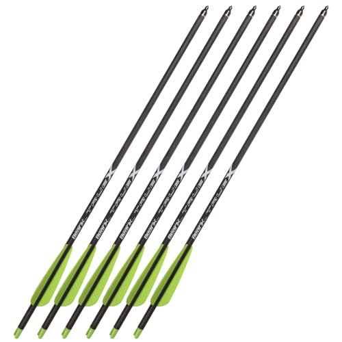 Bear X 6-Pack Truex Crossbow Arrows - 20", ACBK20, Black - Walmart.ca