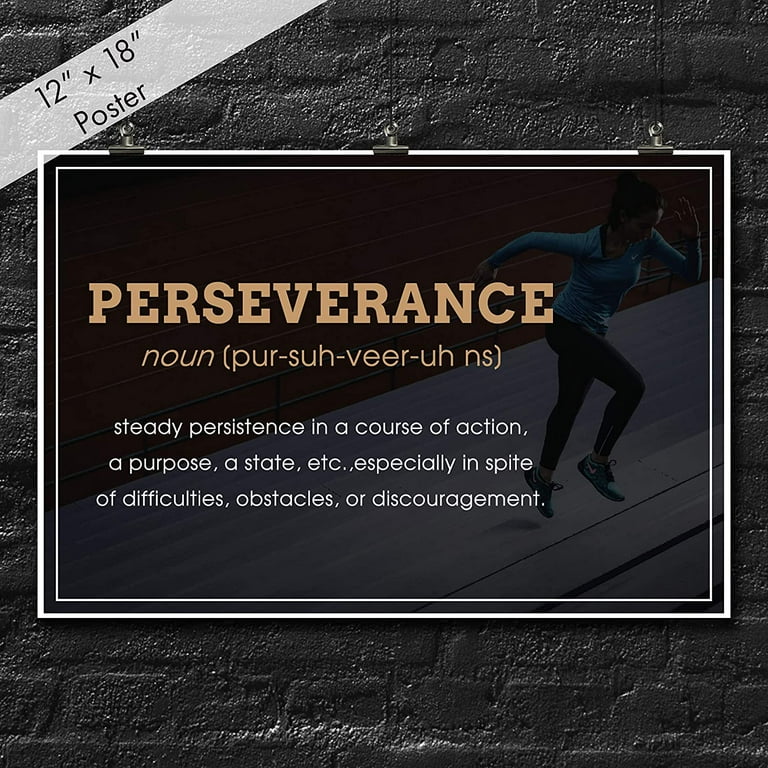 Perseverance Dictionary Definition