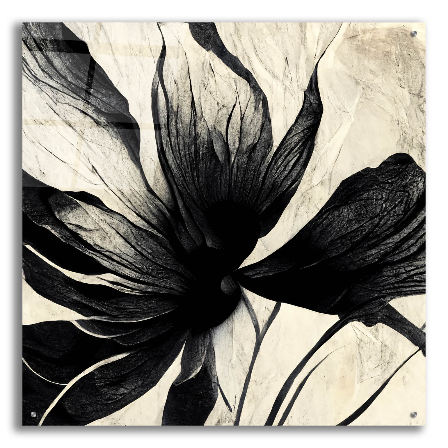 Epic Art 'Flowers Black White 16' by Ray Heere, Acrylic Glass Wall Art ...