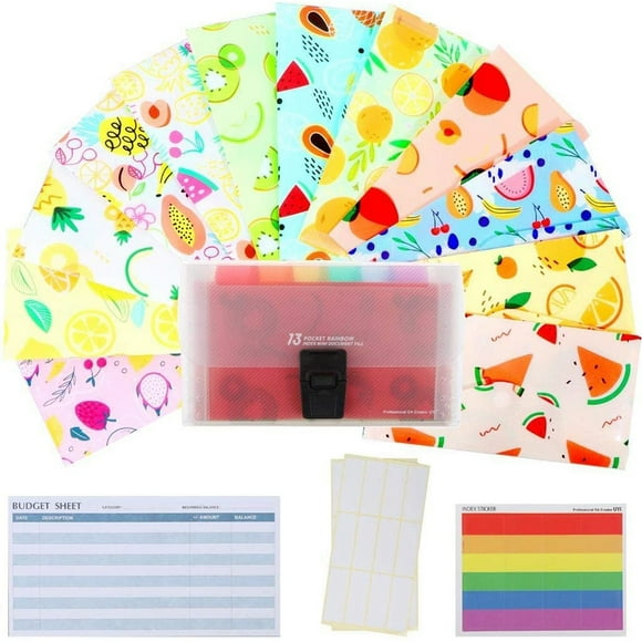 Money Envelope System Organizer