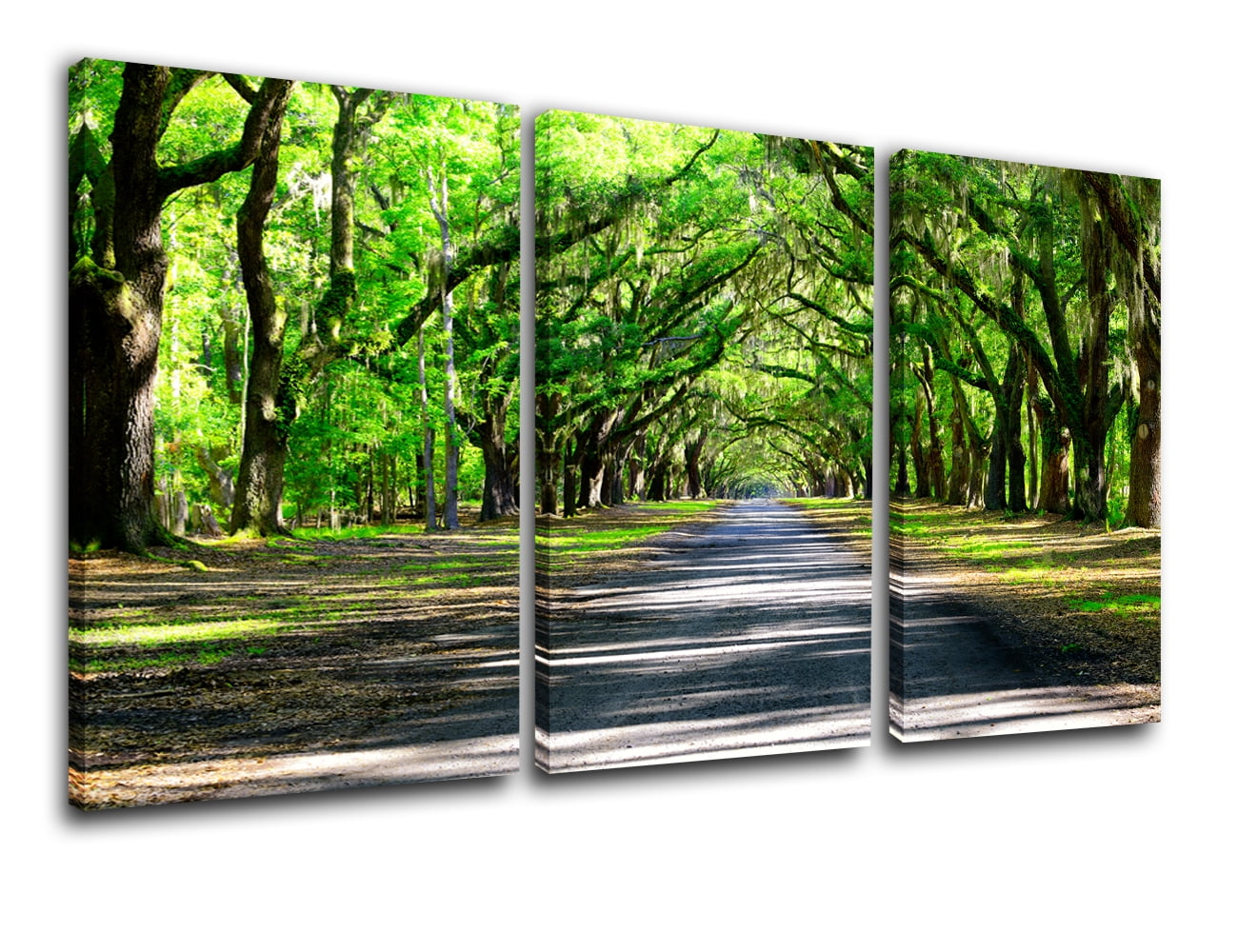 TISHIRON 3PCS Framed Canvas Wall Art Set,36"x24" Oak Trees overhanging ...