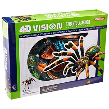 4D Vision Dog Anatomy Model - Walmart.com