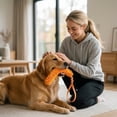 Long Microfiber Interactive Dog Tug Toy – Durable Bungee Pull Toy for ...