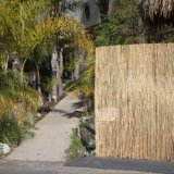 Backyard X-Scapes 6' H x 16' L Natural Reed Fence Panel - Walmart.com