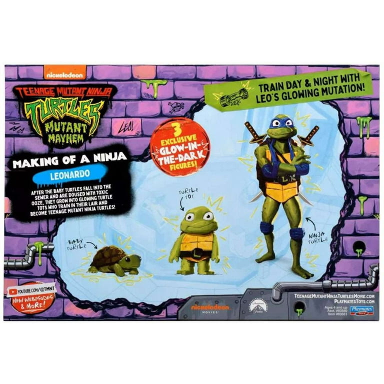 Teenage Mutant Ninja Turtles Train