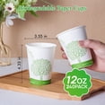 240 Count 12 oz Compostable Paper Coffee Cups Biodegradable Disposable ...